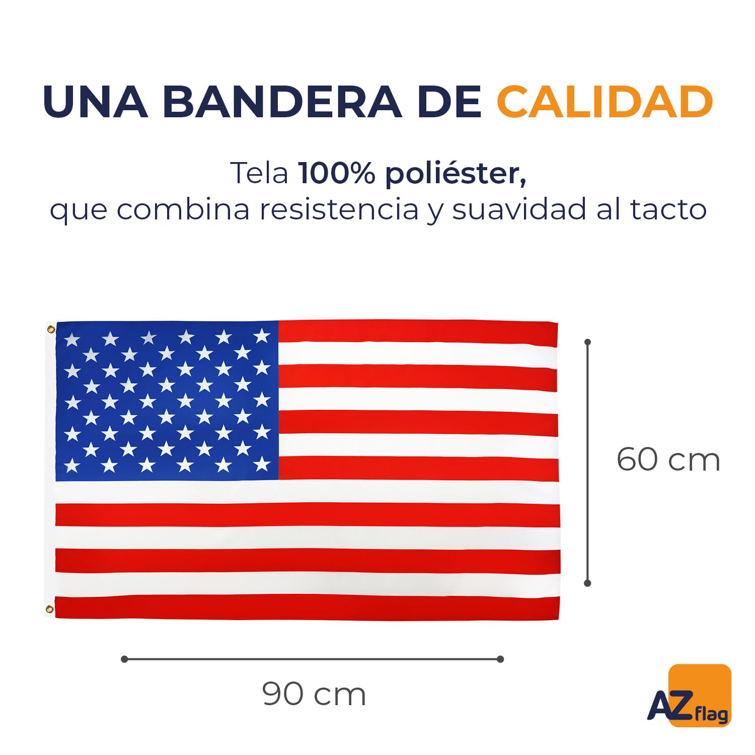 Dimensiones Oficiales De La Bandera
