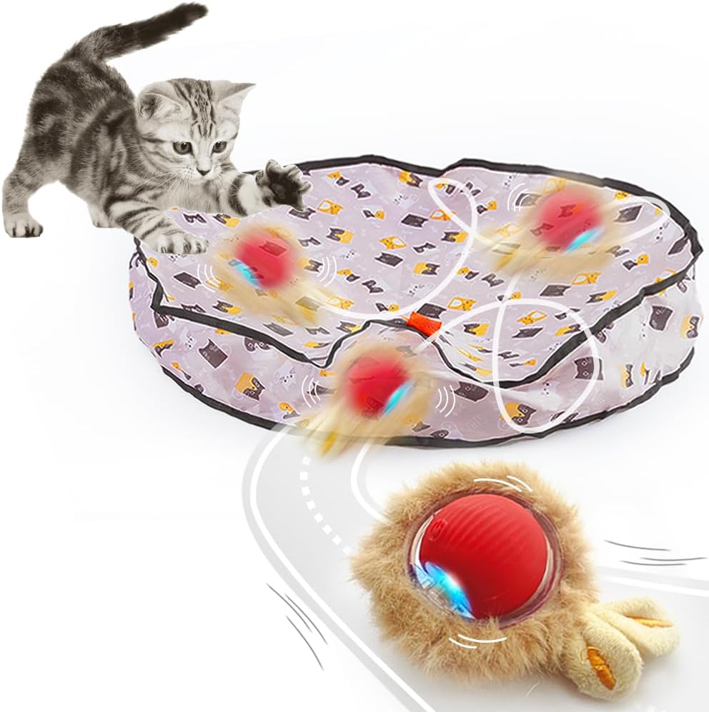Amazon.com: LEKEWPET Interactive Cat Toys for Indoor Cats, Automatic ...