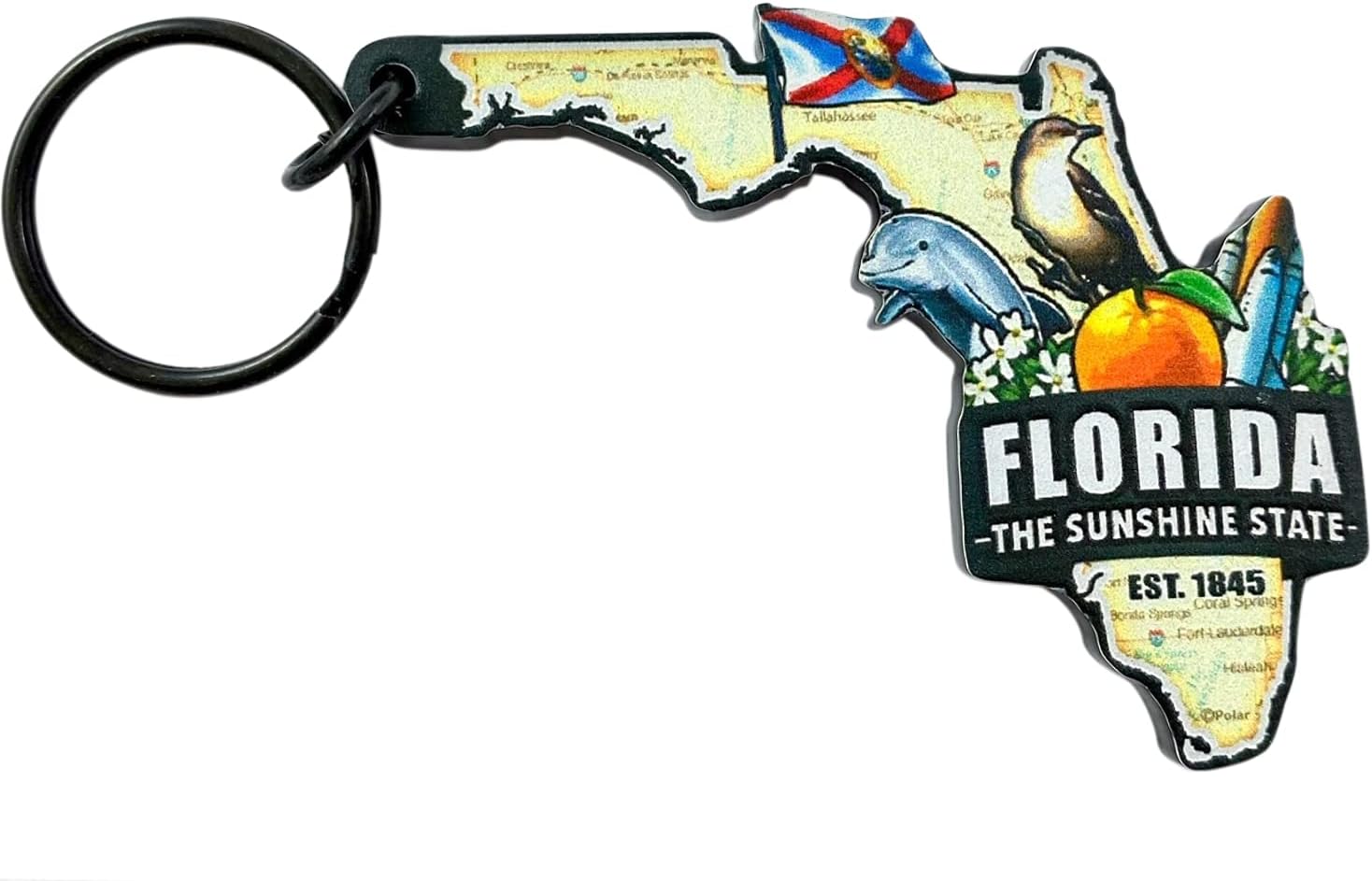 Amazon.com: Westmon Works Florida Keychain Sunshine State Souvenir with ...