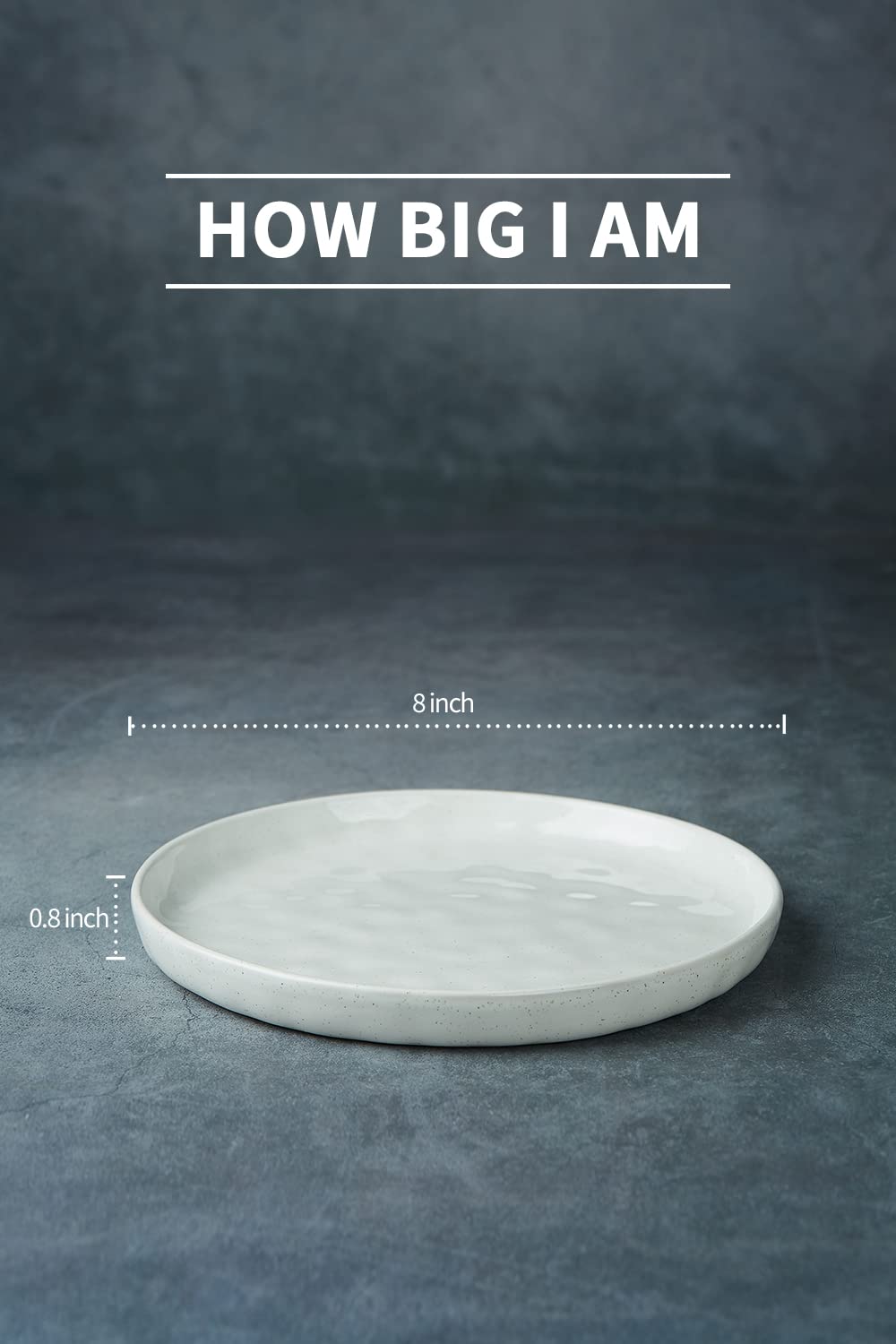 famiware Mars 6 Pieces Salad Plates, 8 inch Plate Set, Scratch ...