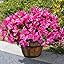 Amazon.com: Artificial Flowers for Outdoors, 3 Bundles Fake Silk Azalea ...