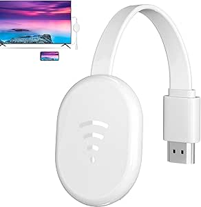 Wisfunlly HDMI Display Dongle Adapter, Wireless TV Adapter for The APP ...