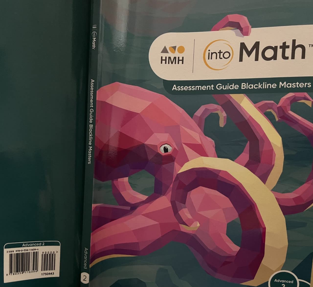 HMH INTO MATH ASSESSMENT GUIDE BLACKLINE MASTERS ADVANCED 2: HOUGHTON ...