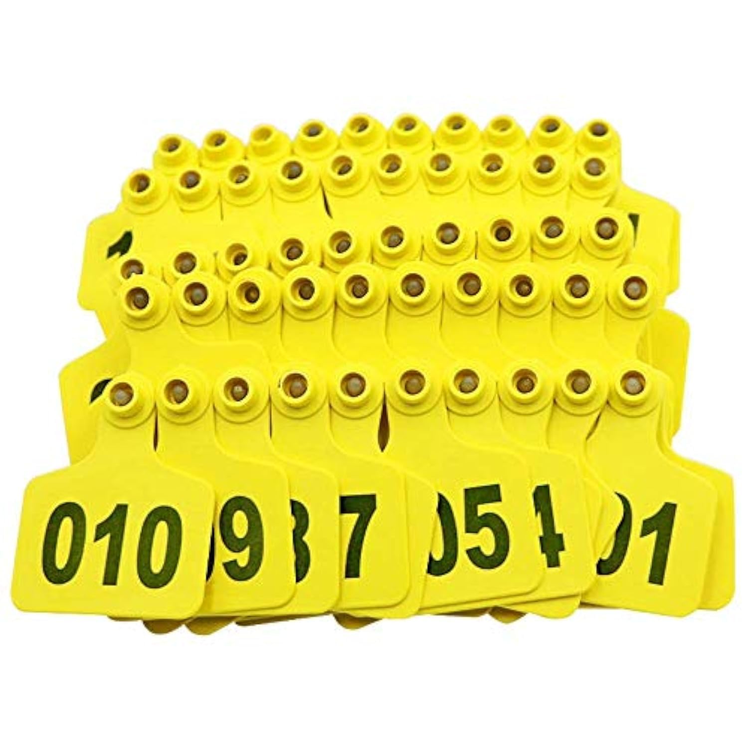 5 Best Cow Ear Tags | Stop Retagging Every Season