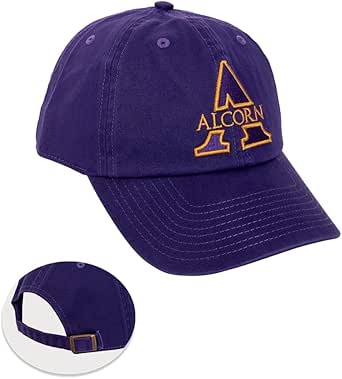 Amazon.com: Desert Cactus Alcorn State University Baseball Hat ASU ...
