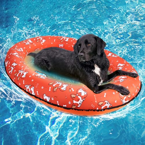 Pool Floats for Dogs – The 15 best products compared - Wild Explained