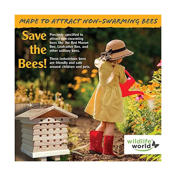 Wildlife World Interactive Wooden Bee House - Pollinator Bee Management ...