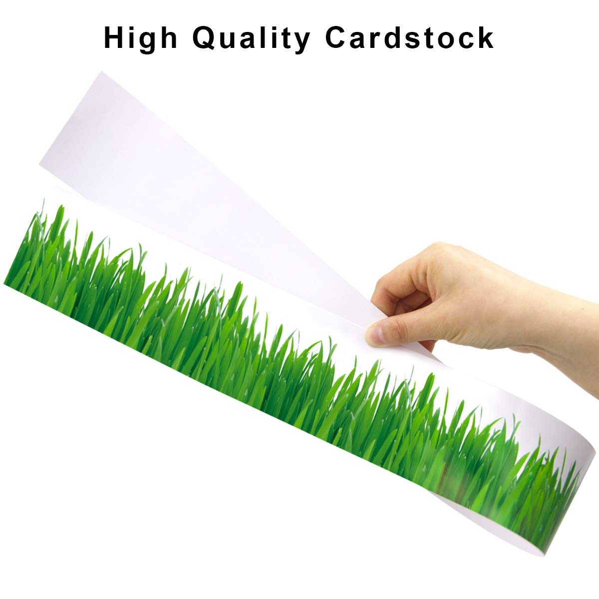 Buy Green Grass Bulletin Board Border for Easter Classroom Bulletin ...
