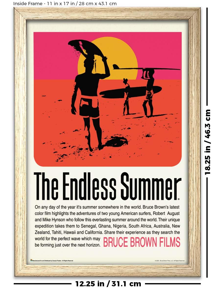 Snapklik.com : The Endless Summer - Officially Licensed - Retro Movie ...