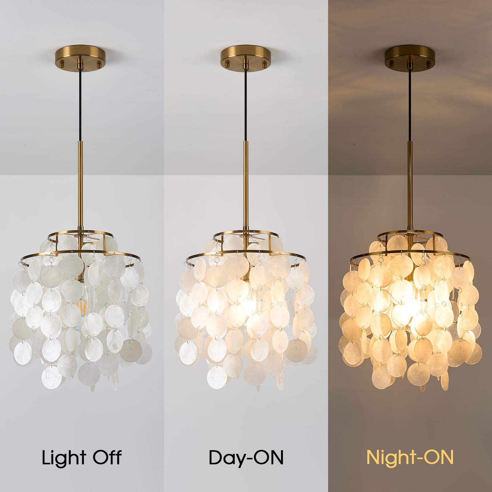 Small Shell Pendant Light