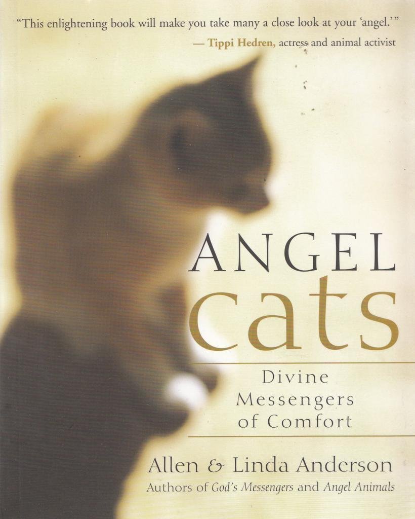 Angel Cats: Divine Messengers of Comfort: Anderson, Allen, Anderson ...