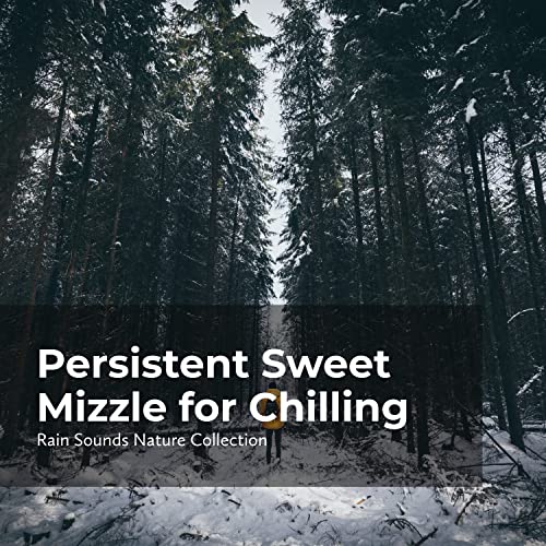 Amazon.com: Persistent Sweet Mizzle for Chilling : Rain Sounds Nature Collection & ASMR Rain ...
