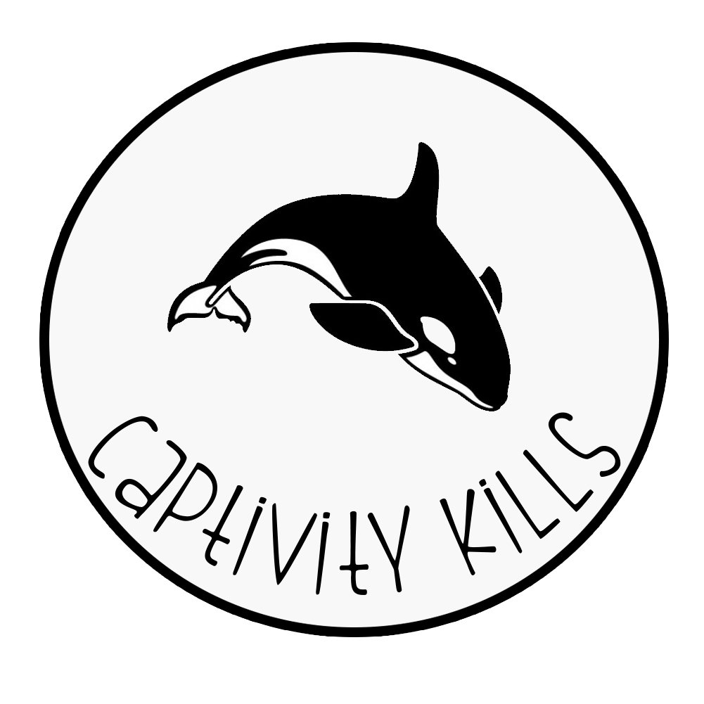Amazon.com - Captivity Kills Killer Whale Orca Vinyl Sticker Car Decal ...