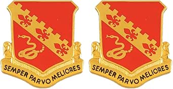 Amazon.com: 130th Field Artillery Distinctive Unit Insignia - Pair ...