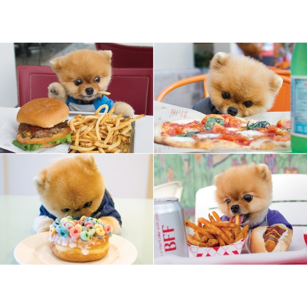 Jiffpom 1000-Piece Puzzle: LLC, Jiff: 9781623439835: Amazon.com: Books