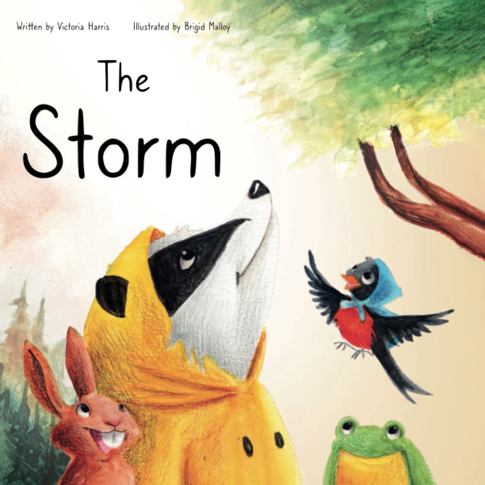 The Storm: Harris, Victoria, Malloy, Brigid: 9781919612614: Amazon.com ...