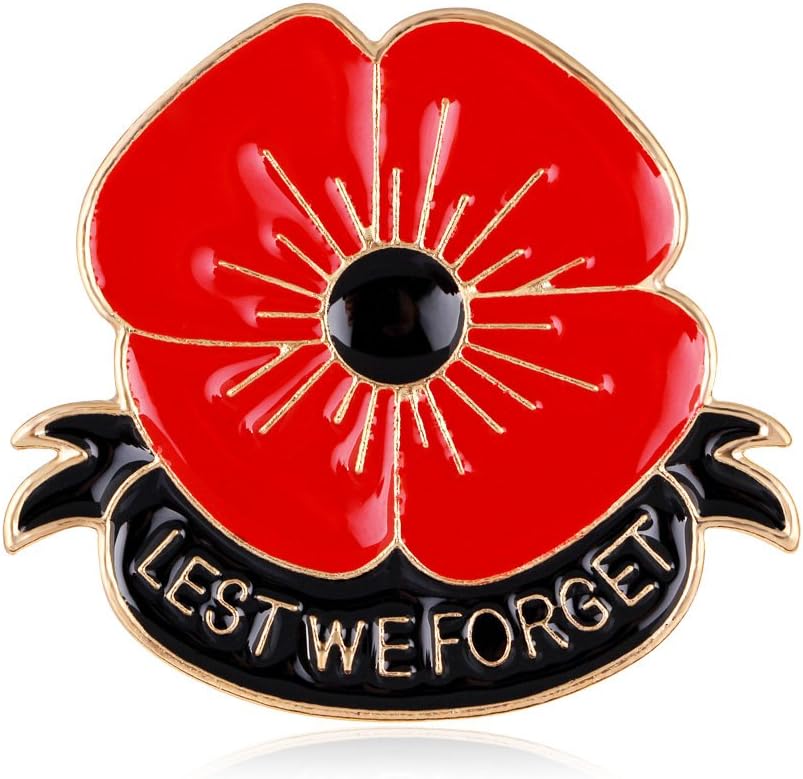 Amazon.com: Memorial Day Gifts Enamel Poppy Brooch Pins For Women ...