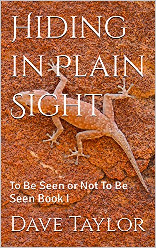 Hiding in Plain Sight: To Be Seen or Not To Be Seen Book I eBook ...