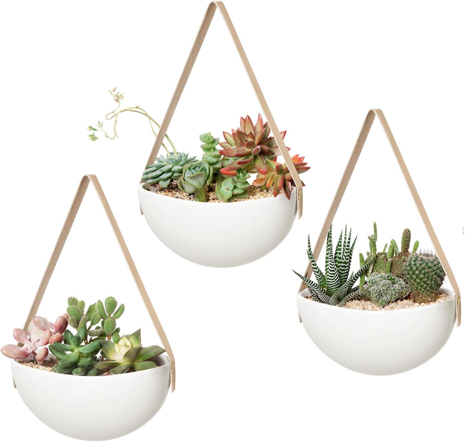 Amazon.com: SOUJOY 6 Pack Hanging Succulent Planters, 4'' Mini Ceramic ...