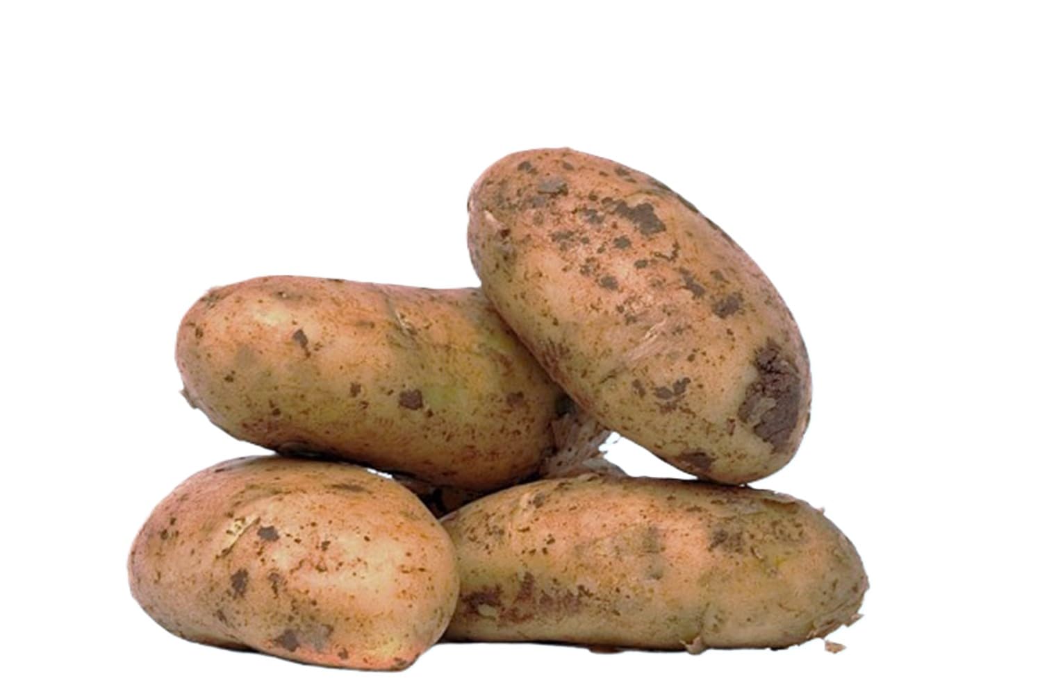 Clipart Potato Potato (new) Talegaon : Veggovilla