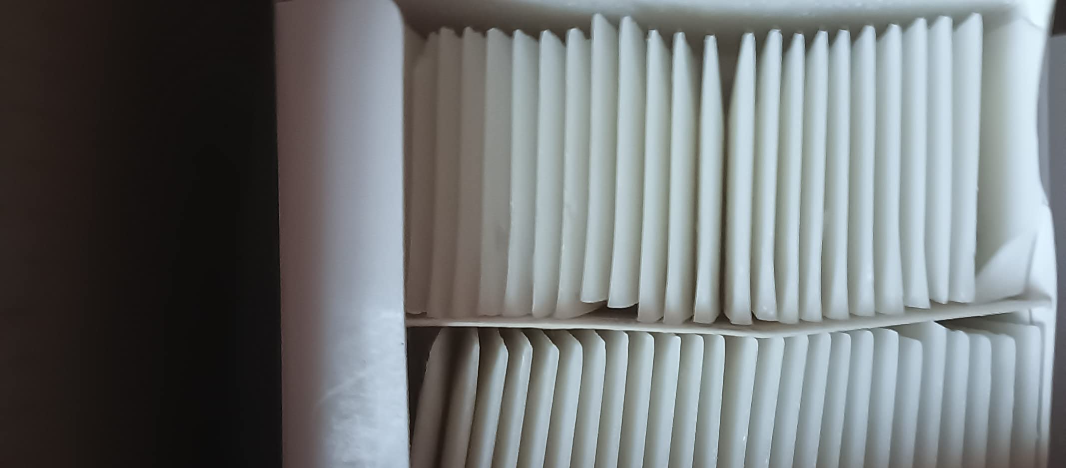 JAINSONS PET PRODUCTS Jainsons Panda Hwail Cut-Free Invisible Chalk For ...