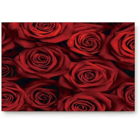 Amazon.com: Roses Flowers Doormats Entrance Front Door Rug Spring ...