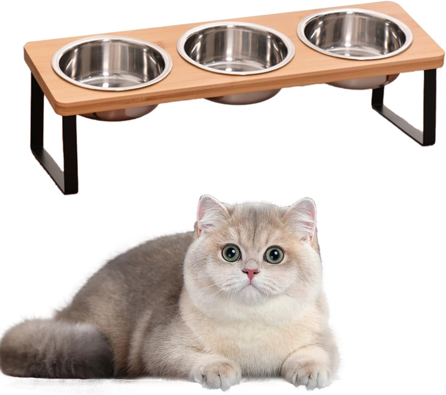 Elevated Cat Food Bowls 15° TiltedStainless Steel Raised Feeding Bowls ...