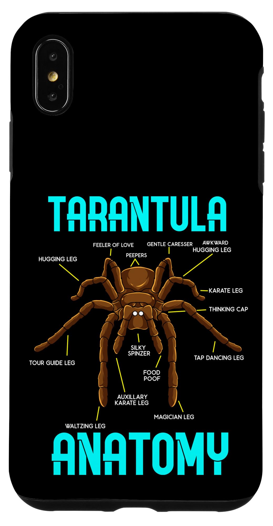 Tarantula Anatomy Poster