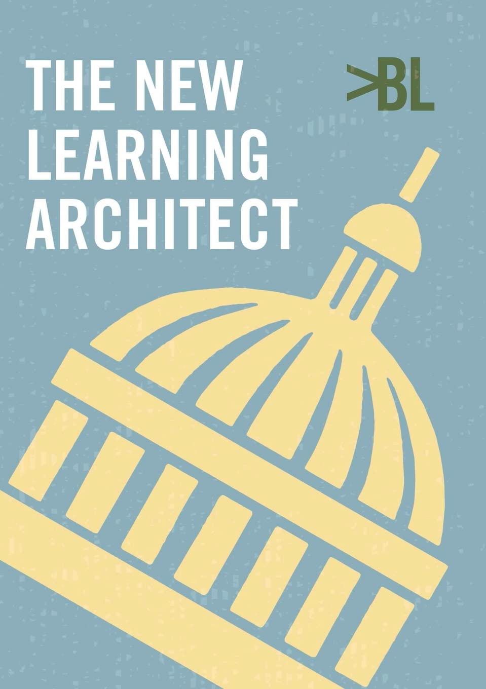 The New Learning Architect: Amazon.co.uk: Shepherd, Clive ...