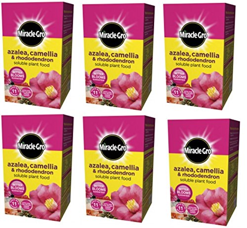 6 x Azalea Plant Food 1KG : Amazon.co.uk: Garden