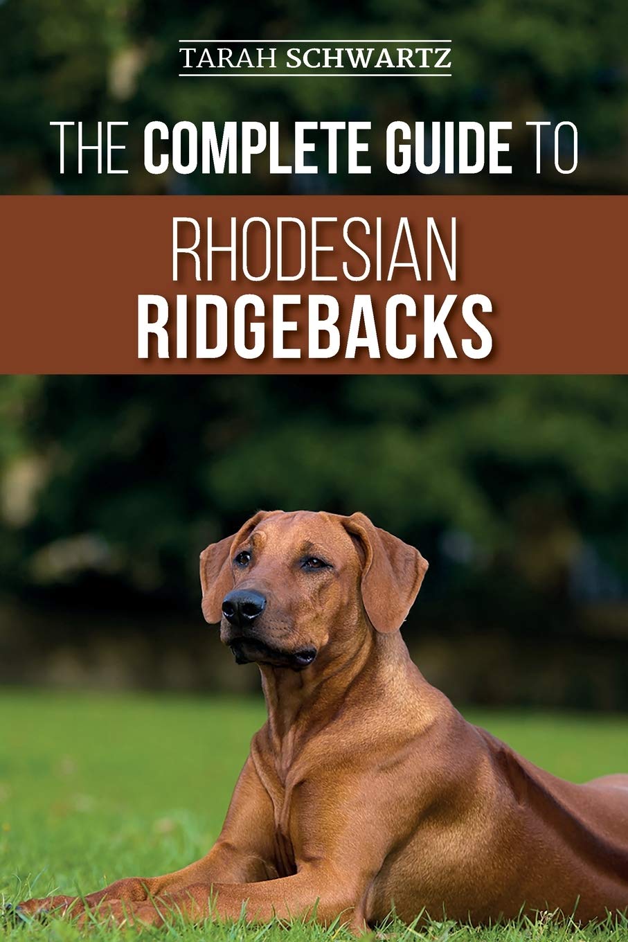 Are Rhodesian Ridgebacks Easy To Train
