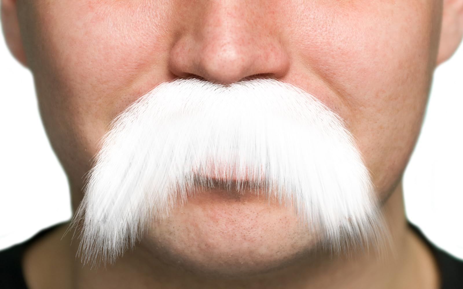 Snapklik.com : Self Adhesive Fake Mustache, Novelty, Walrus False ...