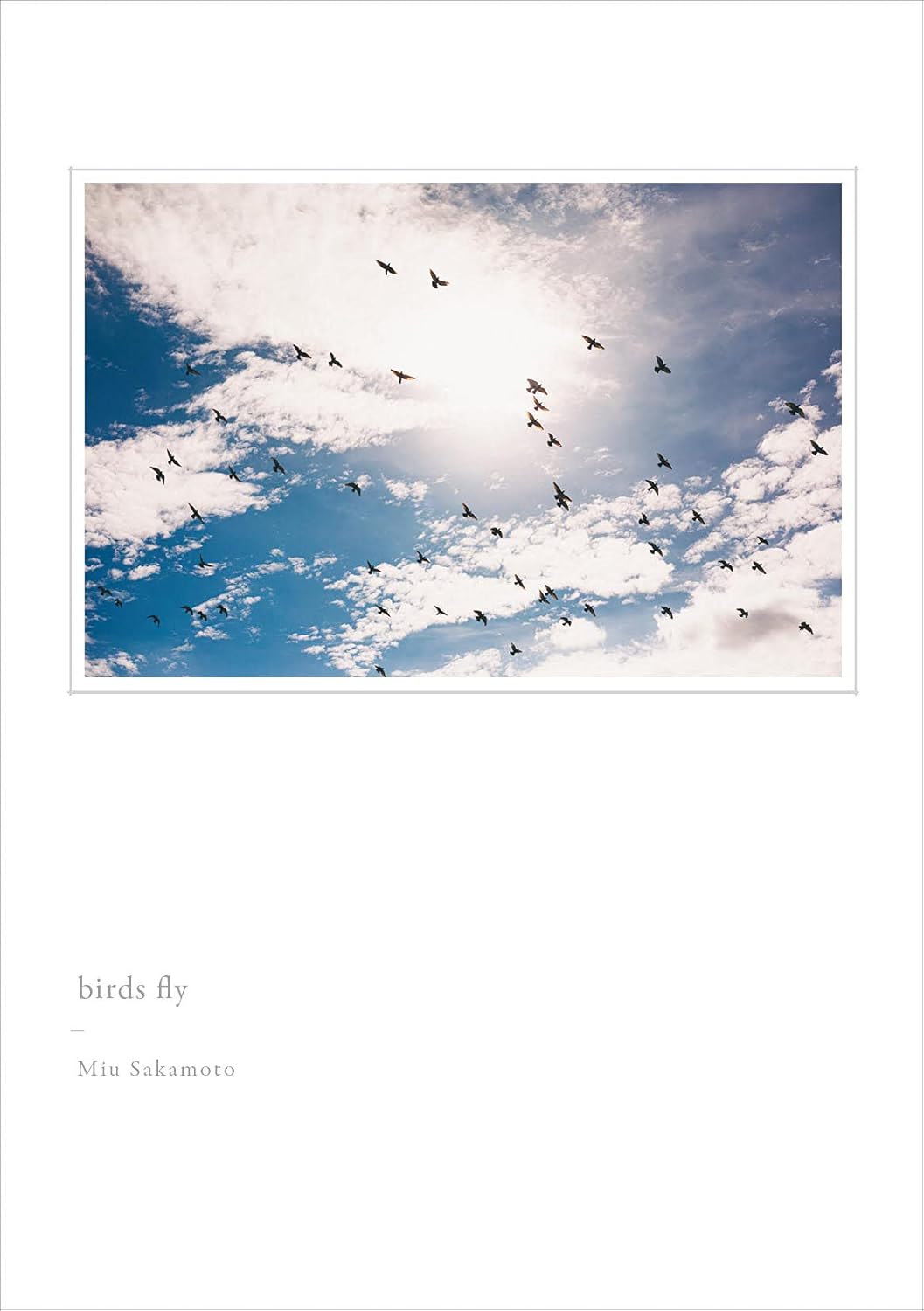 Amazon.co.jp: birds fly〔初回限定盤〕: ミュージック