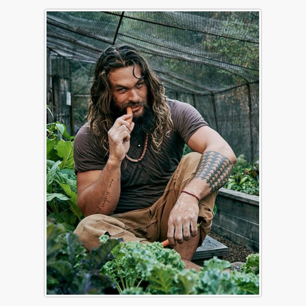 Amazon.com: Jason Momoa Sticker Vinyl Waterproof Sticker Decal Car ...