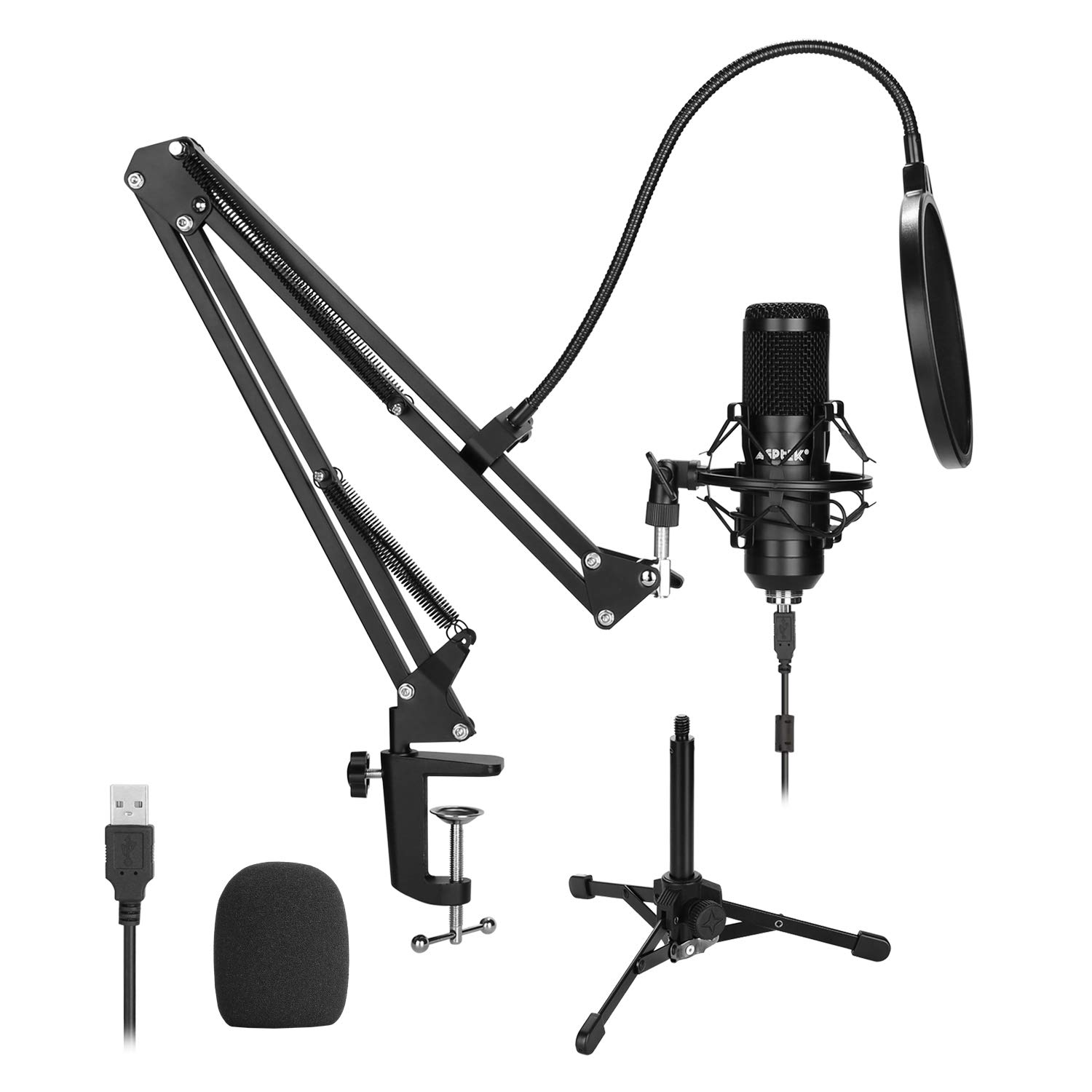Studio Microphone With Pop Filter And Stand SE Electronics Studio Mic