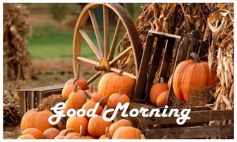 Good Morning Fall Good Morning Sunrise App On Amazon Appstore