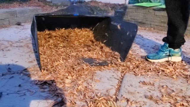 Watch HONEST review of the Bag Butler on Amazon Live