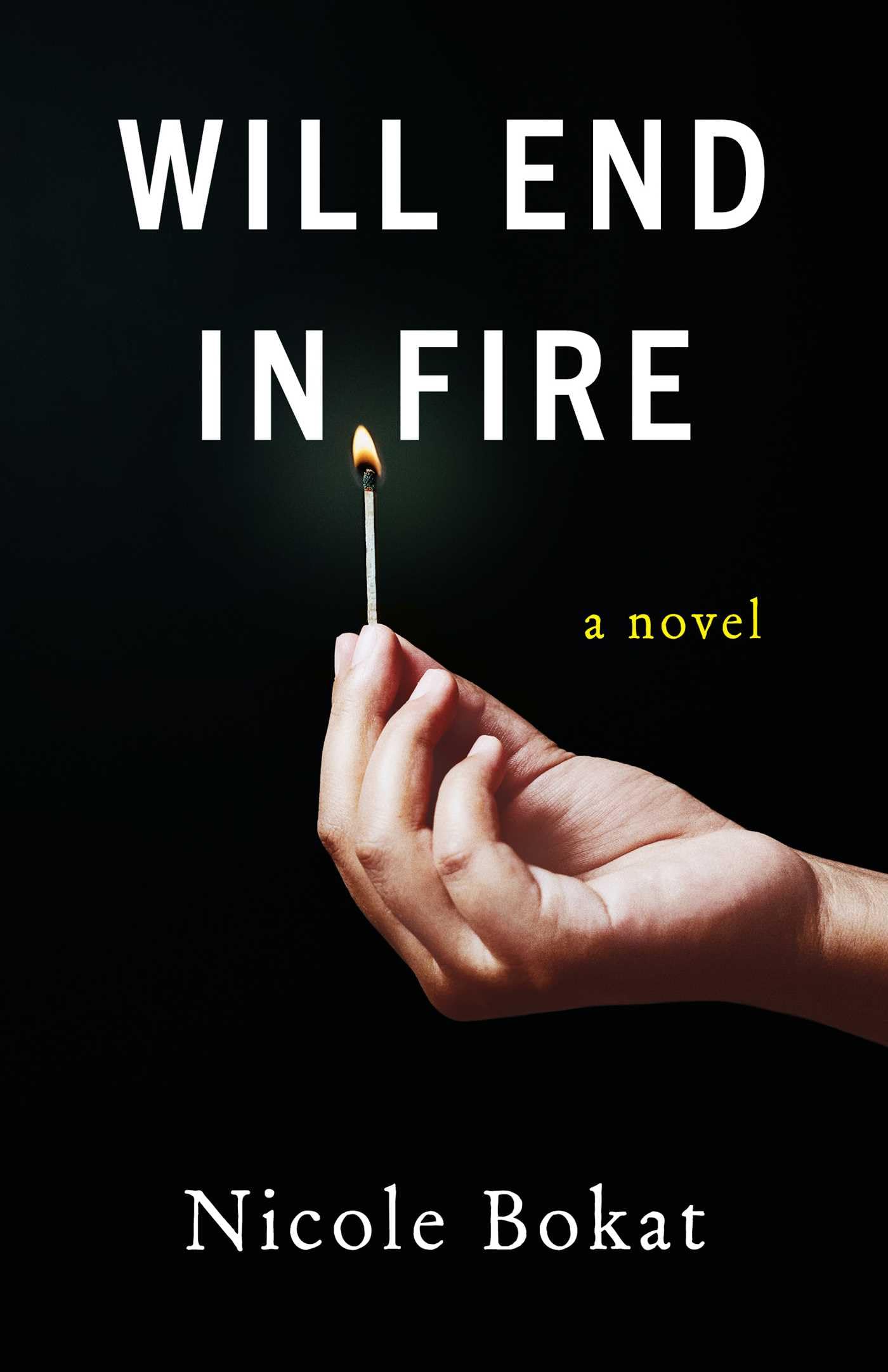 Will End in Fire: A Novel: Bokat, Nicole: 9781647428044: Amazon.com: Books