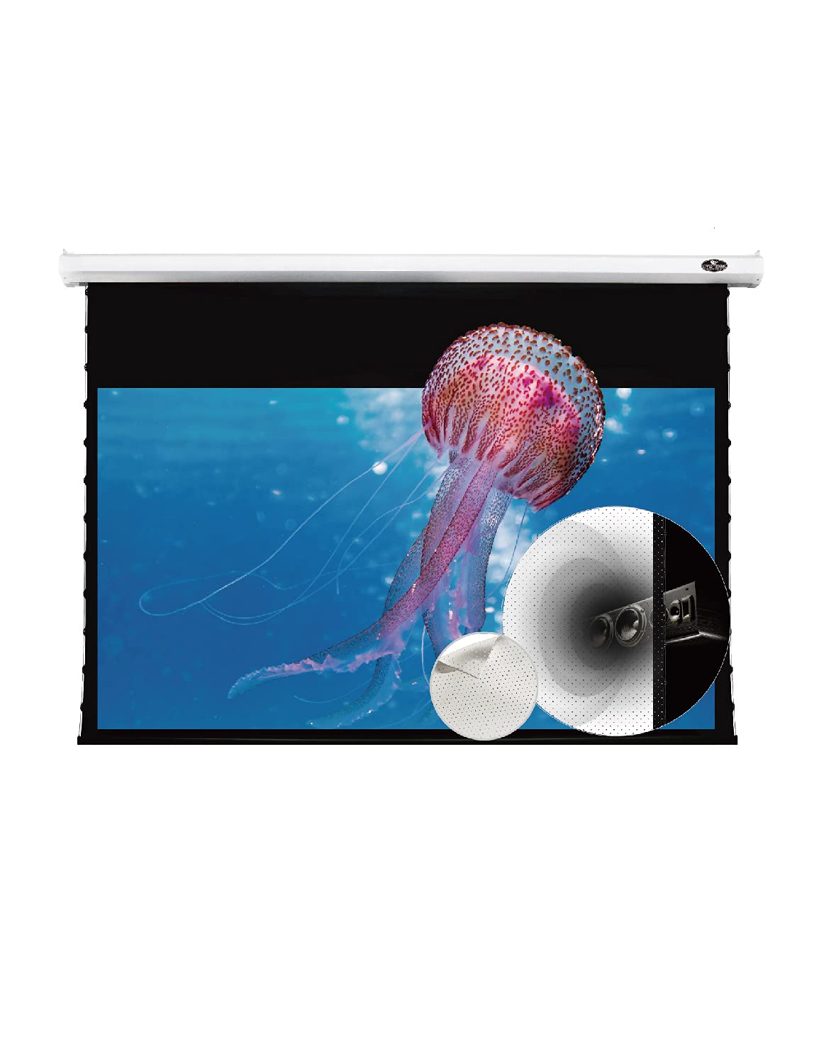 Buy VIVIDSTORM Deluxe Tensioned Screen 92 cinema Screens Motorized buy-vividstorm-deluxe-tensioned-screen-92-cinema-screens-motorized