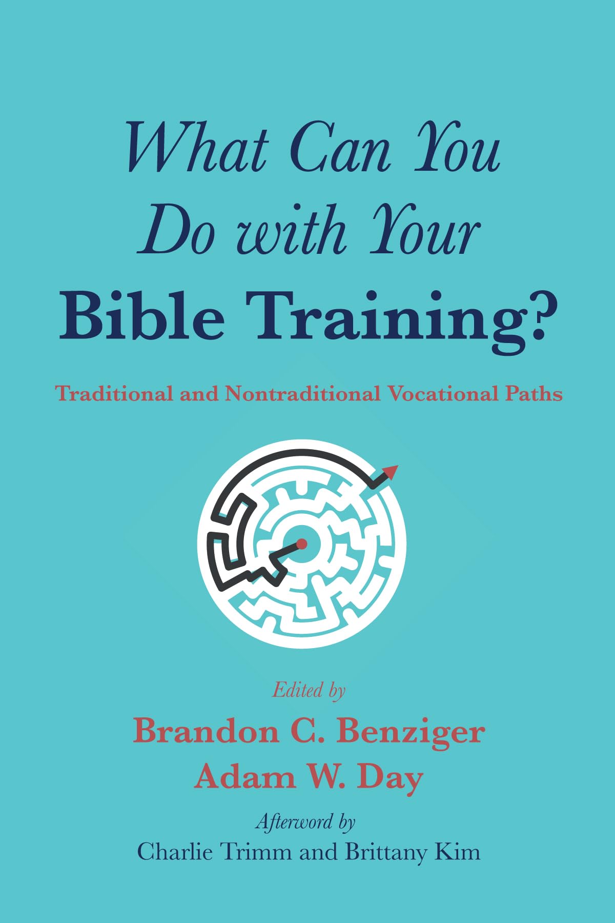 What Can You Do with Your Bible Training?: Traditional and ...