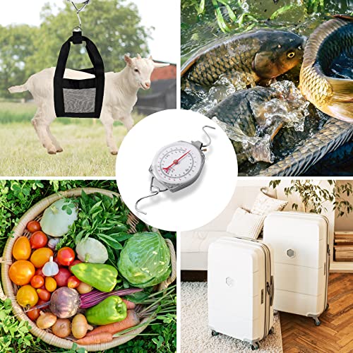Snapklik.com : Mechanical Hanging Scales 440lb/200kg, Calf Sling And ...