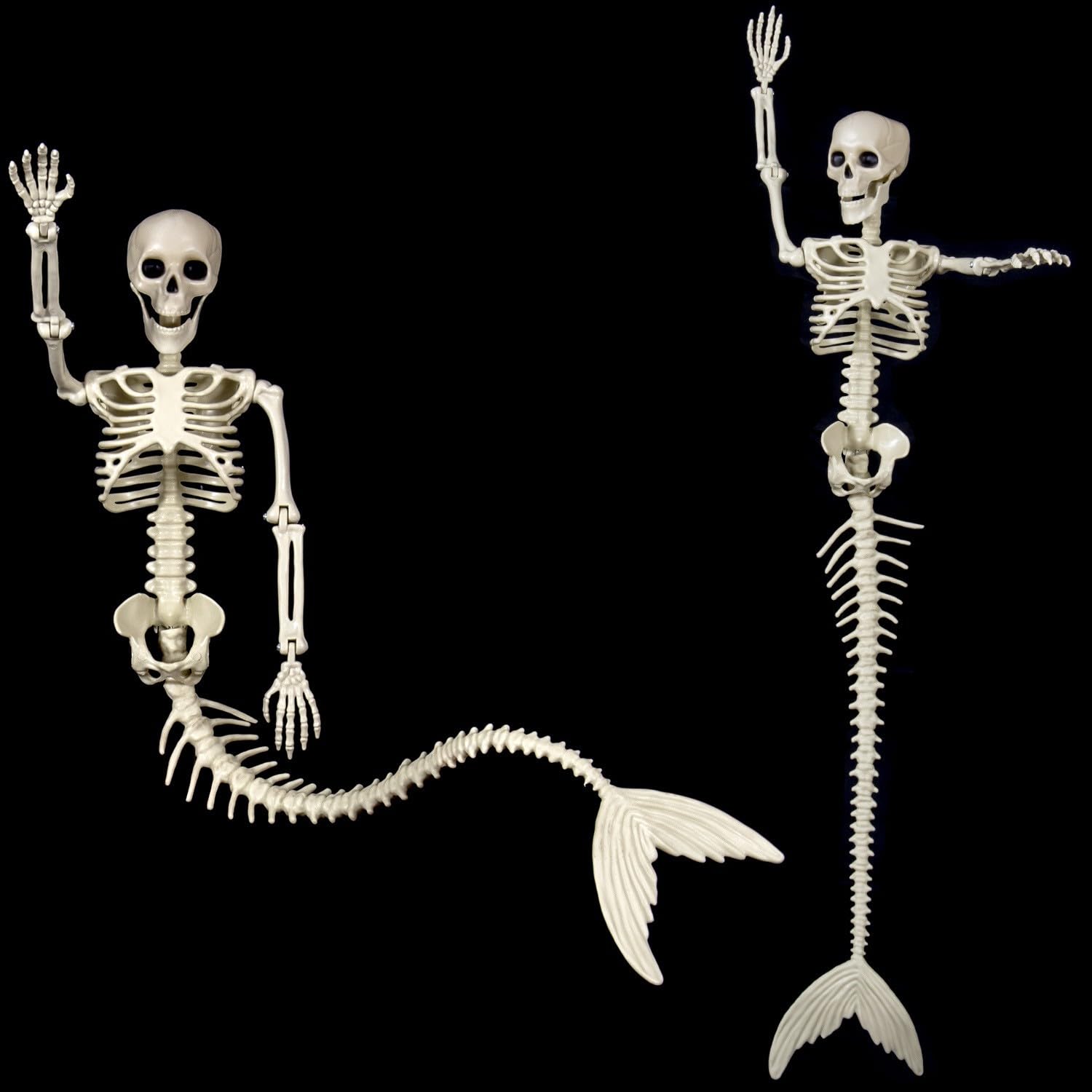 Mermaids The Body Found Skull