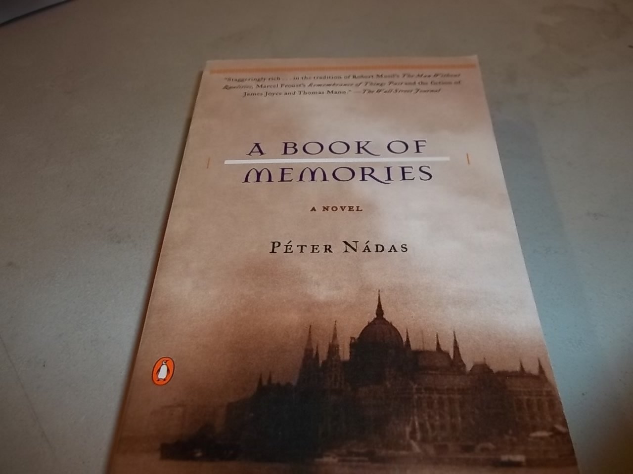 A Book of Memories: Nadas, Peter: Amazon.com: Books