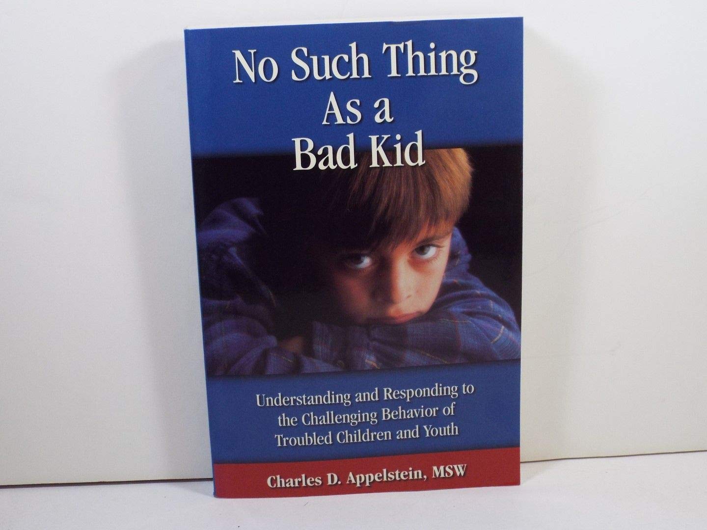 No Such Thing As a Bad Kid!: Understanding and Responding to the ...