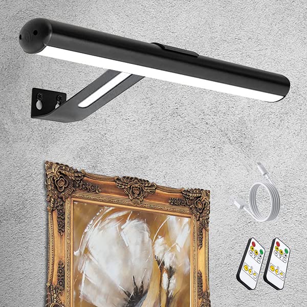 Amazon Best Sellers: Best Picture Lights & Mini Accent Spotlights