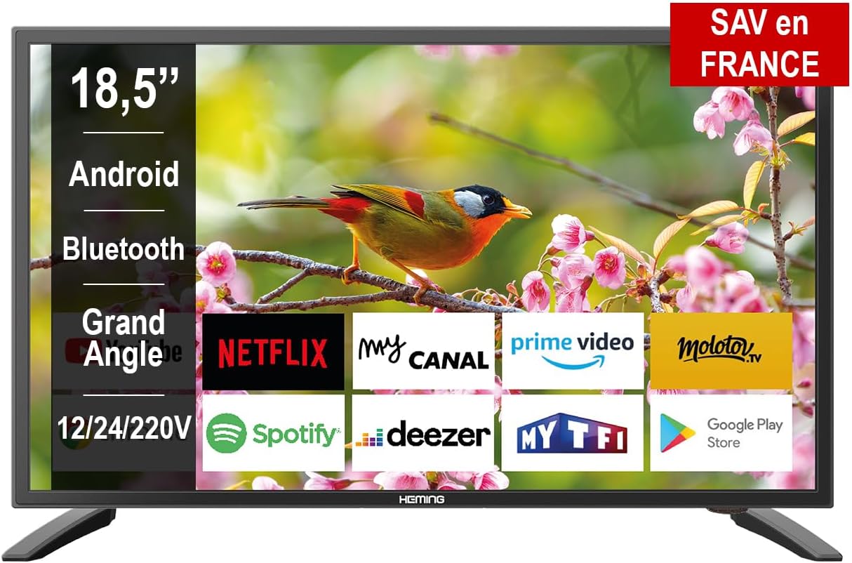 MobileTV Smart TV 19'' 47 cm Connectée WIFI WebOS - 12/24V - DVD - Camping Car Camion Fourgon ...