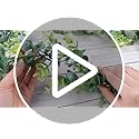 Amazon.com: Jutom 3 Pcs Faux Eucalyptus Garland 5.84ft Artificial Greenery Garland Bulk Silk ...