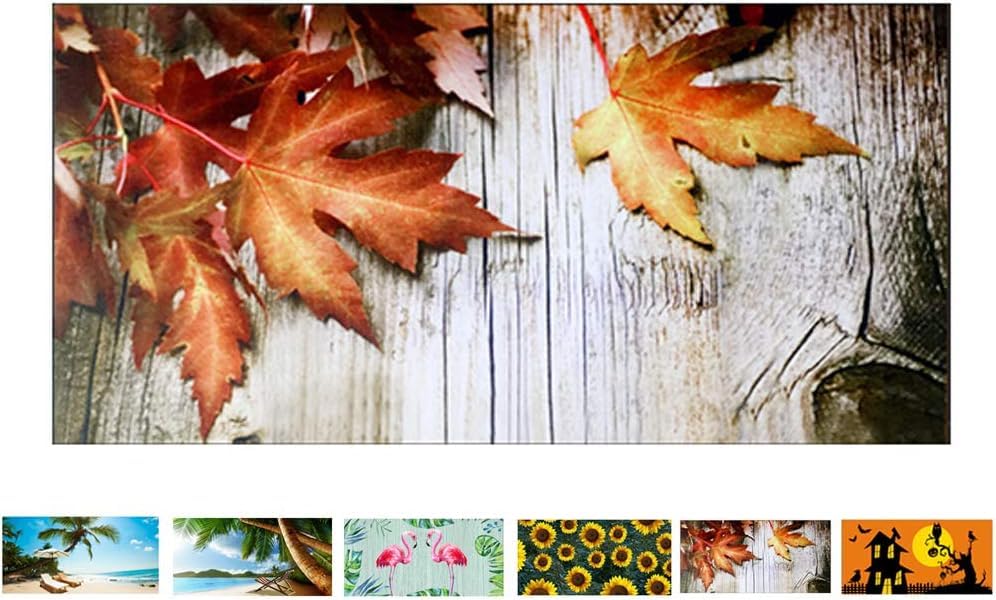 Amazon.com: Morning View Carpets Fall Welcome Door Mat Inserts Maple ...