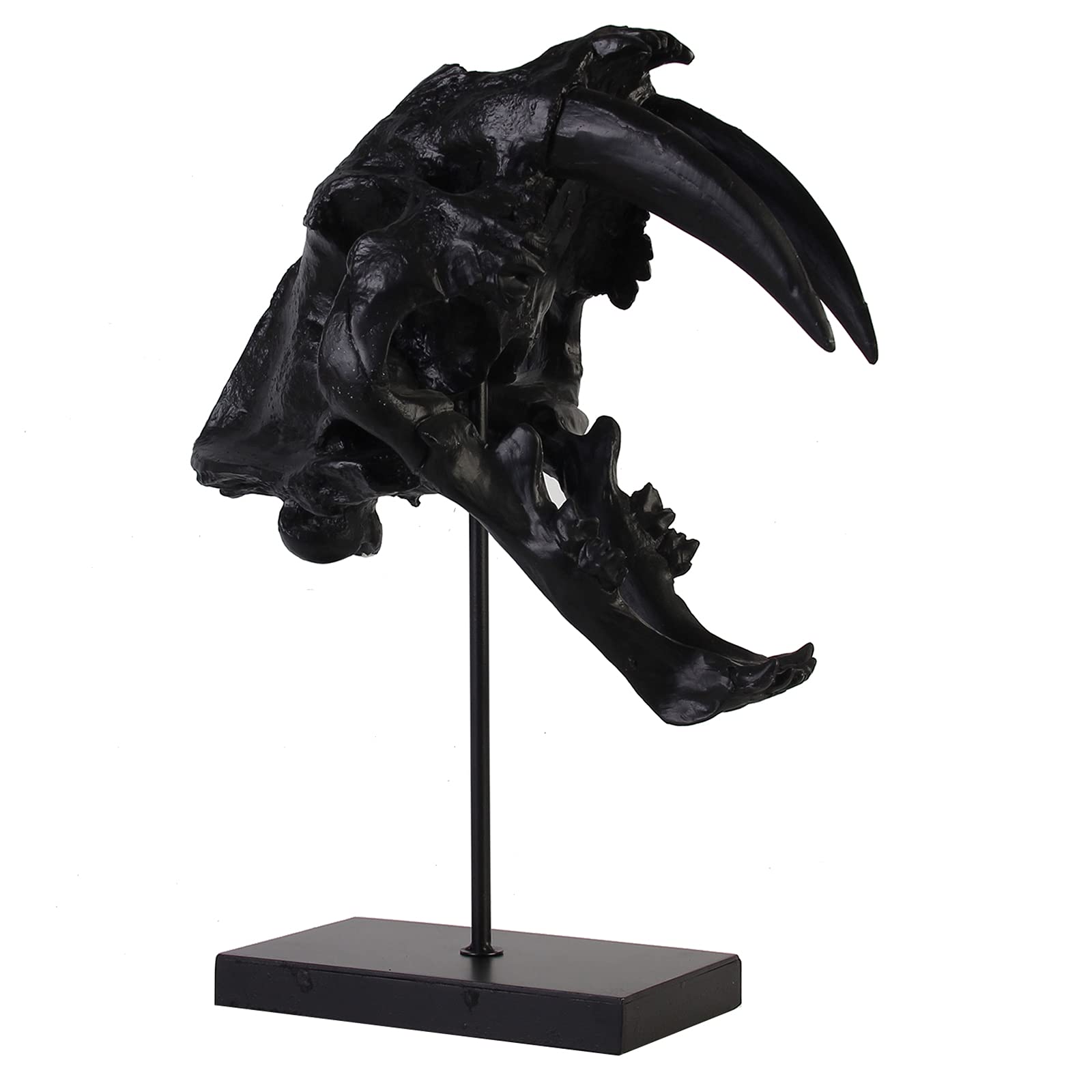 Buy K99 Resin Sabertooth Tiger Skull Replica Model 1:1 Life Size Animal ...