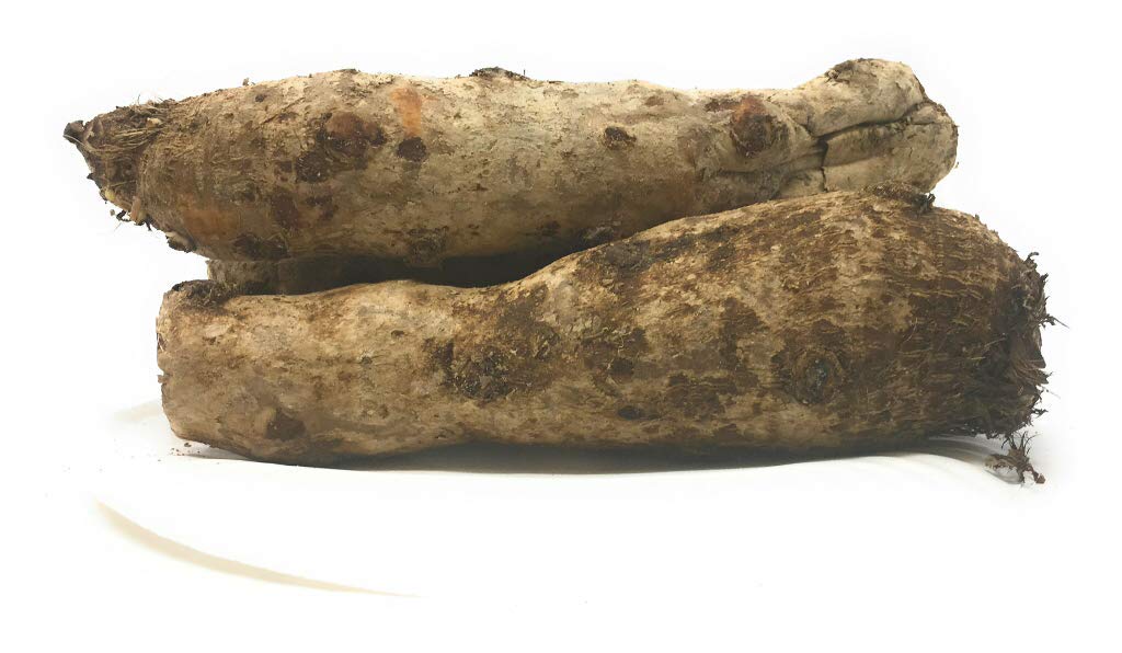 Amazon.com: Root Malanga Cocoa Conventional, 0.5lb : Grocery & Gourmet Food